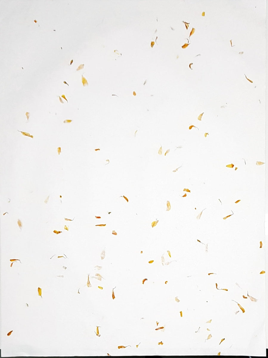 Handmade Paper Sheets with Real Flower Petals embedded – DEVRAAJ ...