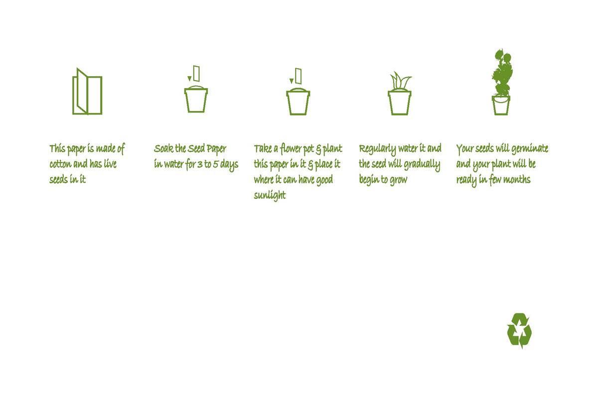 Eco-friendly Plantable Paper Bags for Branding and Gifting – DEVRAAJ ...