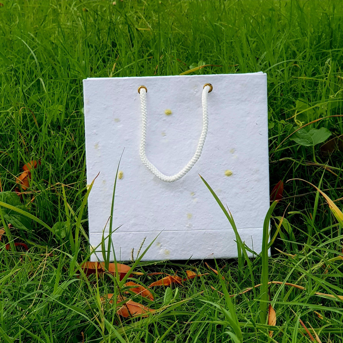 Plantable Seed Paper Bag - Branding and Gifting – DEVRAAJ HANDMADE ...