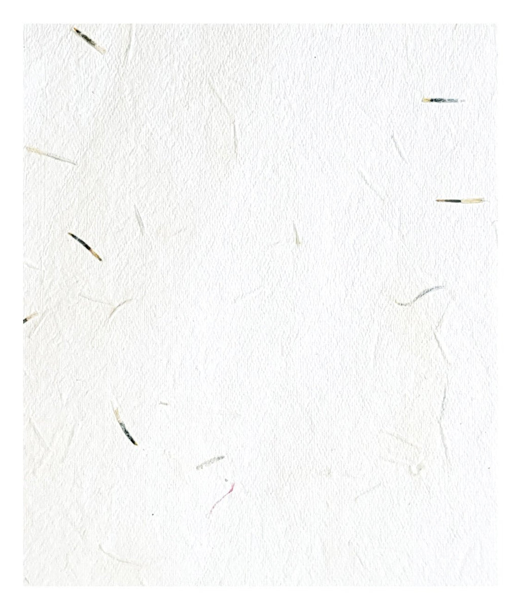 Eco-Friendly A3 Plantable Seed Paper, Sustainable Seed Paper – DEVRAAJ ...